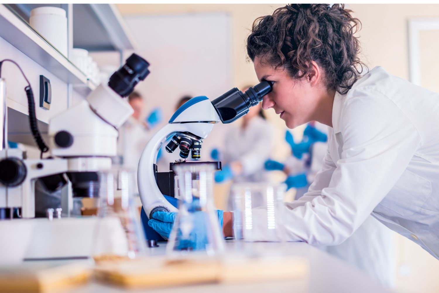 UMF vs MGO Ratings for Manuka Honey [Calculator] | Australia's Manuka